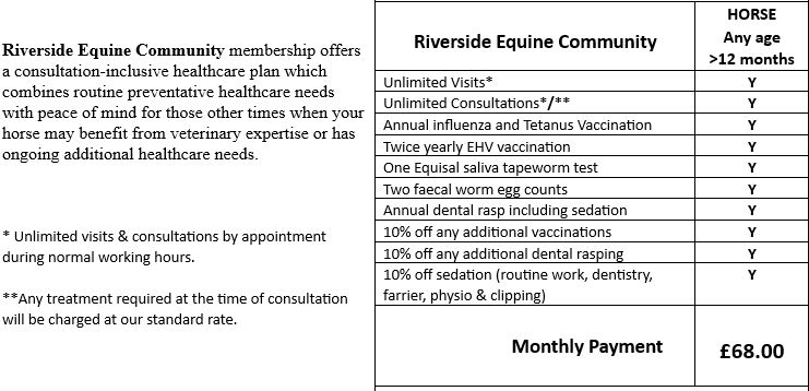 Riverside Veterinary Surgery- Equine